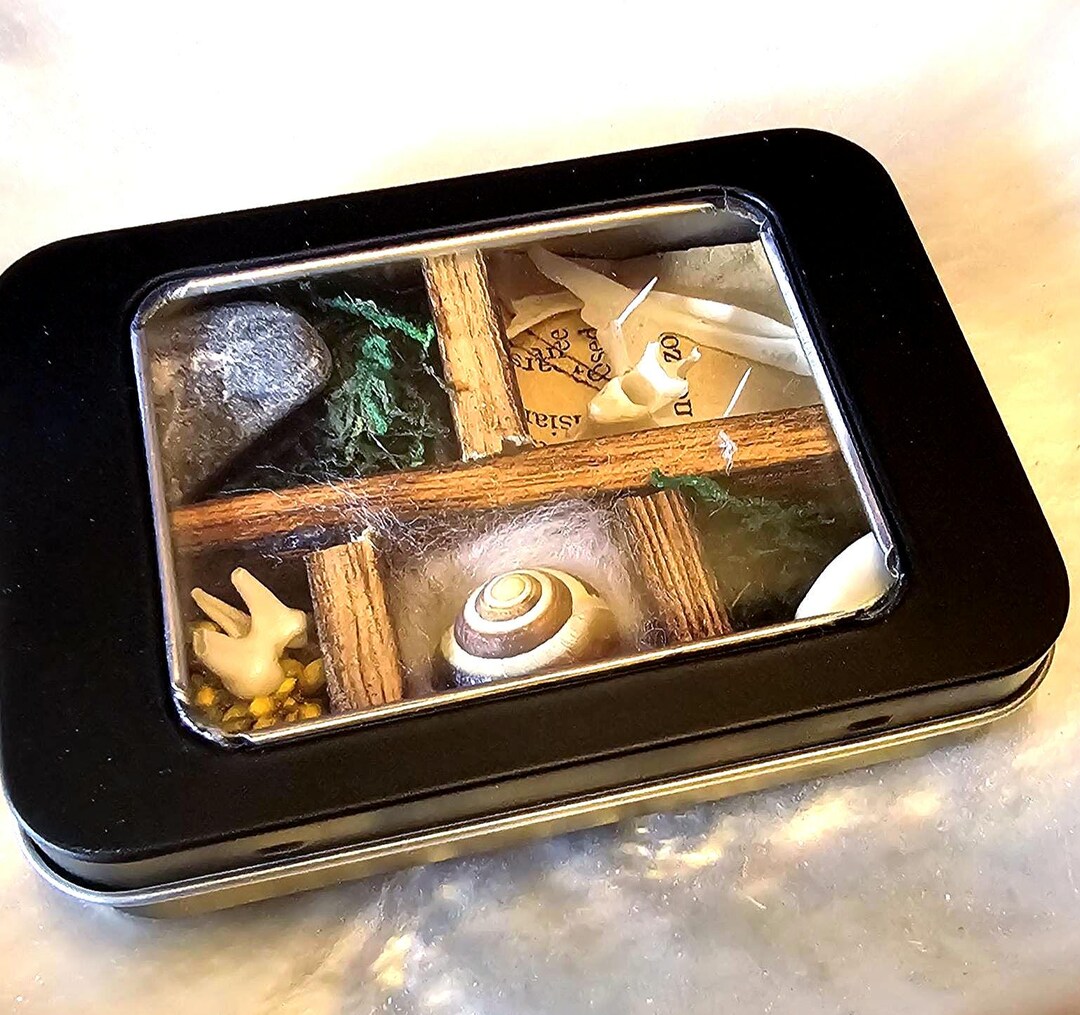 Curio Tin, Curiosities, Oddities, Natural Curio, Animal Bones, Natural ...