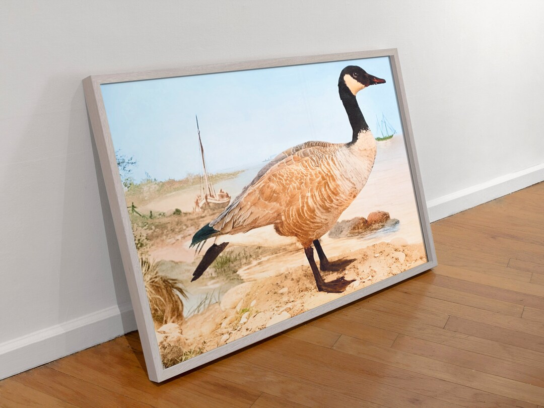 Vintage Goose Art Print, Goose Art Print, Canada Goose Art Print ...
