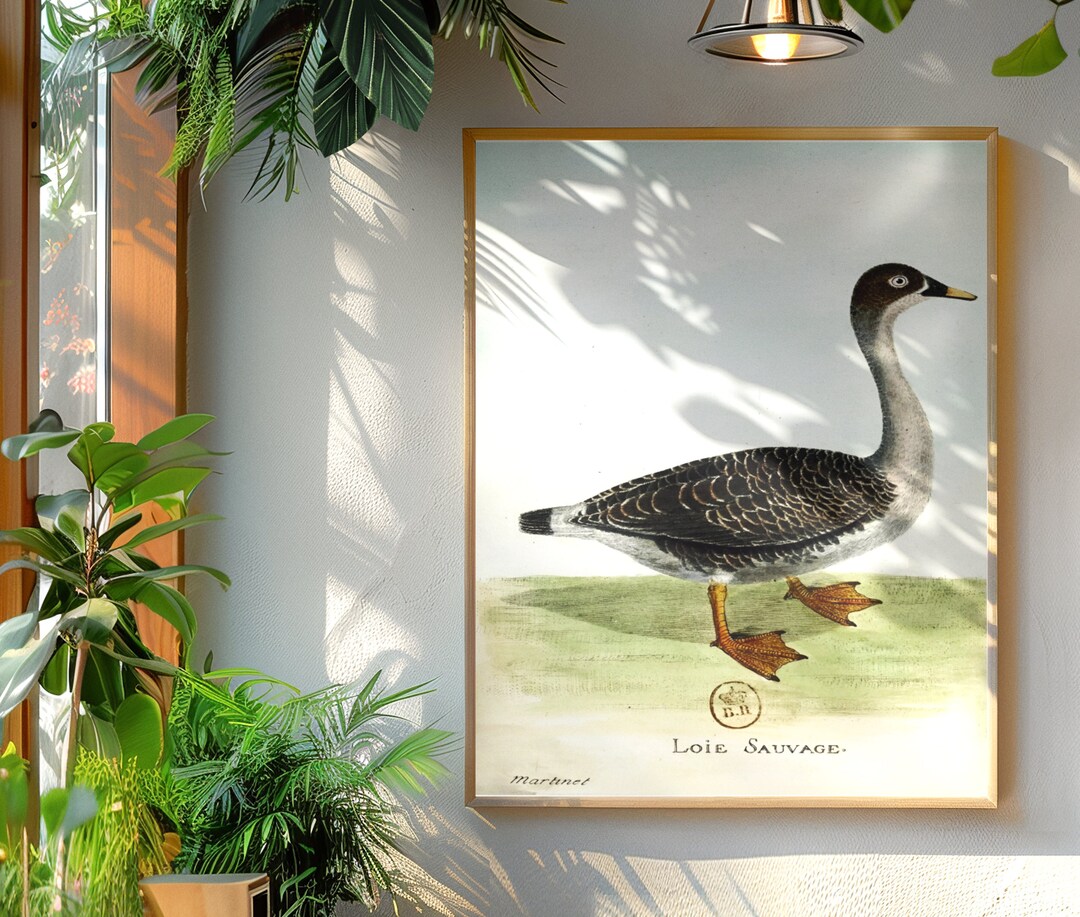 Vintage Goose Art Print, Goose Art Print, Canada Goose Art Print ...