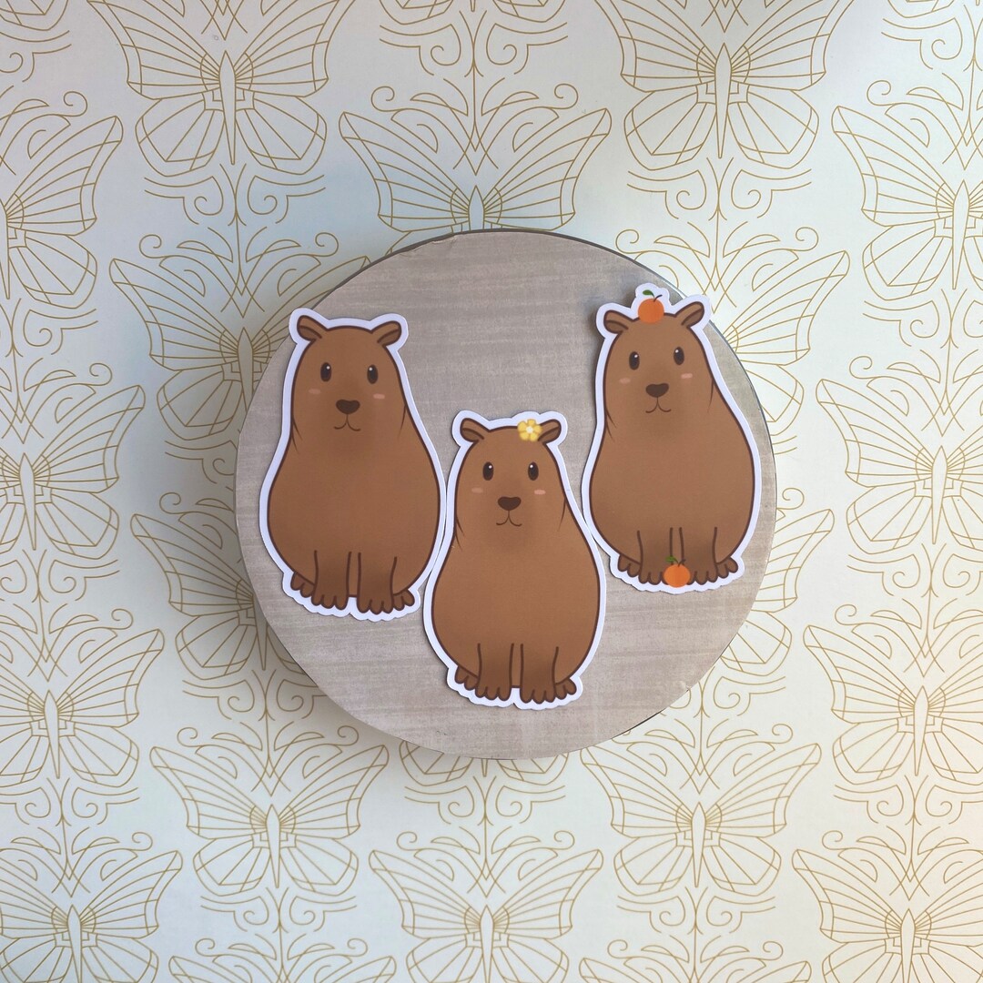 Capybara Sticker Set Cute Funny Capybara Sticker Variety, Glossy Vinyl ...