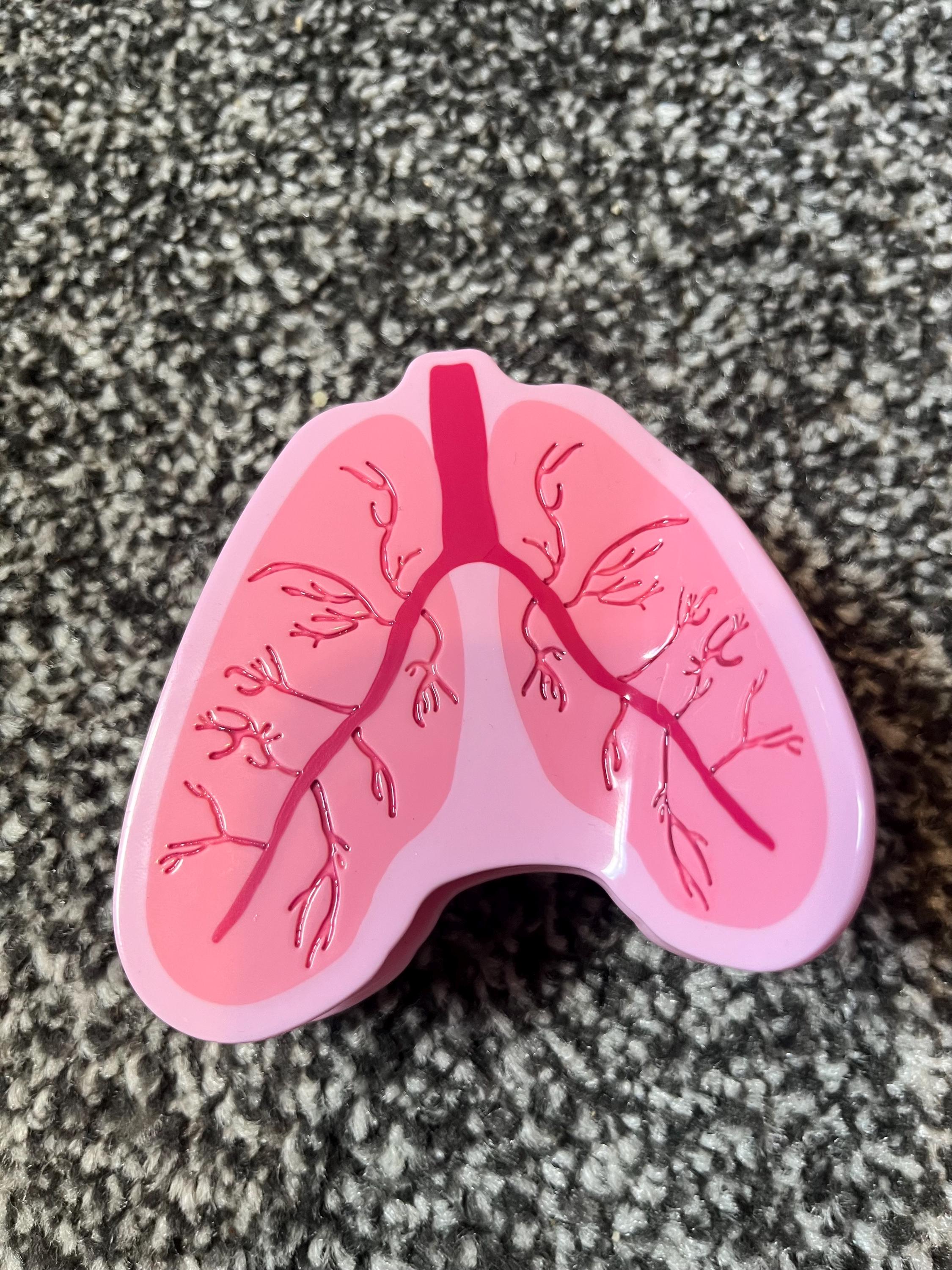 Anatomical Lung Hair Claw: Medical Science Gift - Etsy