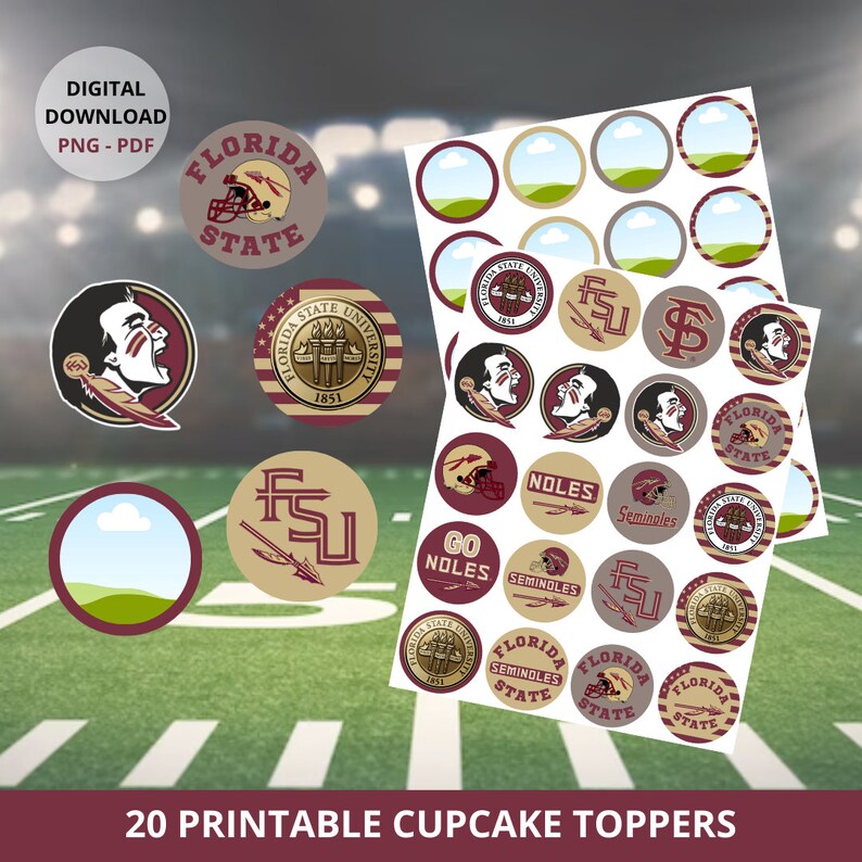 Seminoles, Fsu Inspired Cupcake Toppers, Fsu Graduation Cake Topper ...