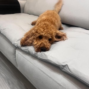 Linen Couch Topper Sofa Protector Covers for Dogs Cats Machine Washable ...