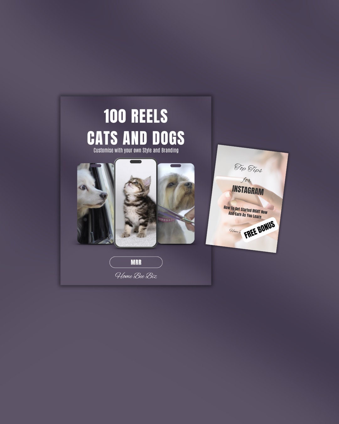 100 Faceless Reels, Cats and Dogs Theme, Videos for Instagram ...