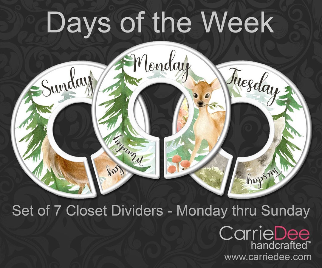 Woodland Creatures Days of the Week Kids Clothes Organizers, Boys ...