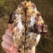 S'mores Recipe Card - Etsy