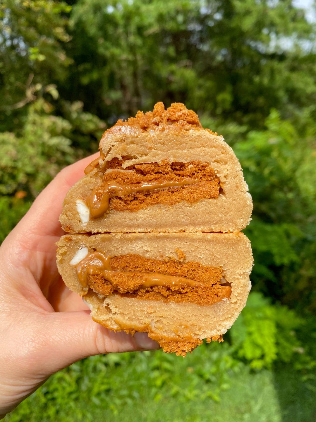 Stuffed Cookie Butter Recipe – Gourmet New York Style Cookie (digital ...