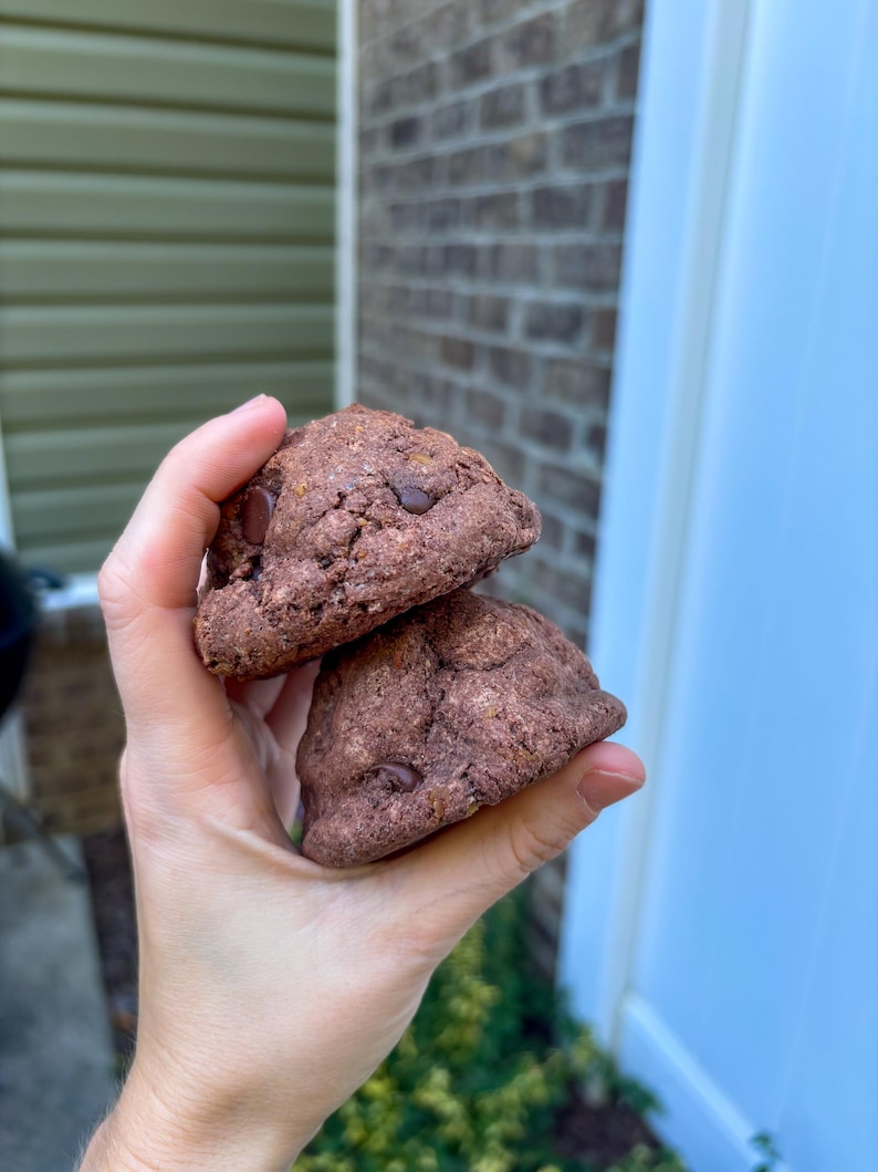 Double Chocolate Protein Cookie Recipe: Gourmet New York Style (digital ...