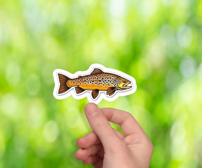 Brown Trout Outdoor Indoor Sticker Decal for Cars Vehicles Laptops ...