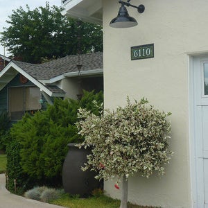 House Number With 4 Digits on 16x8 Inch Slate - Etsy