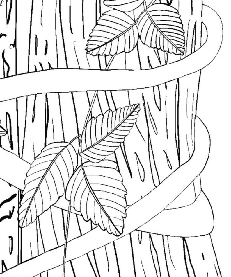 Dont Blame Me Doodle PRINTABLE Coloring Page Inspired by Taylor Swift ...