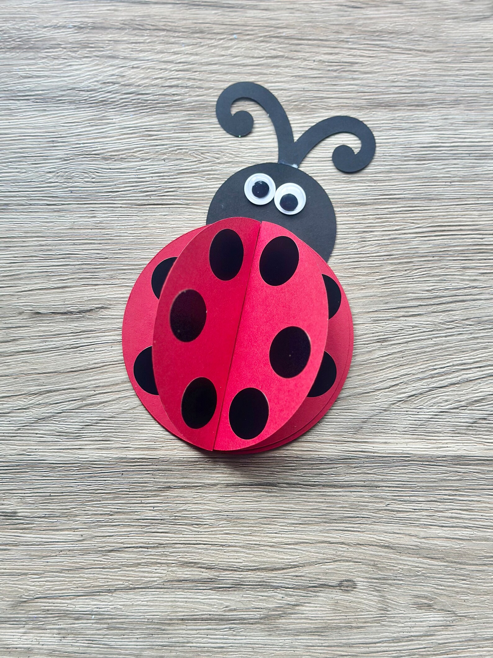 Ladybug Paper Craft Kit Ladybug Arts & Crafts Kit for Kids Bug Craft ...