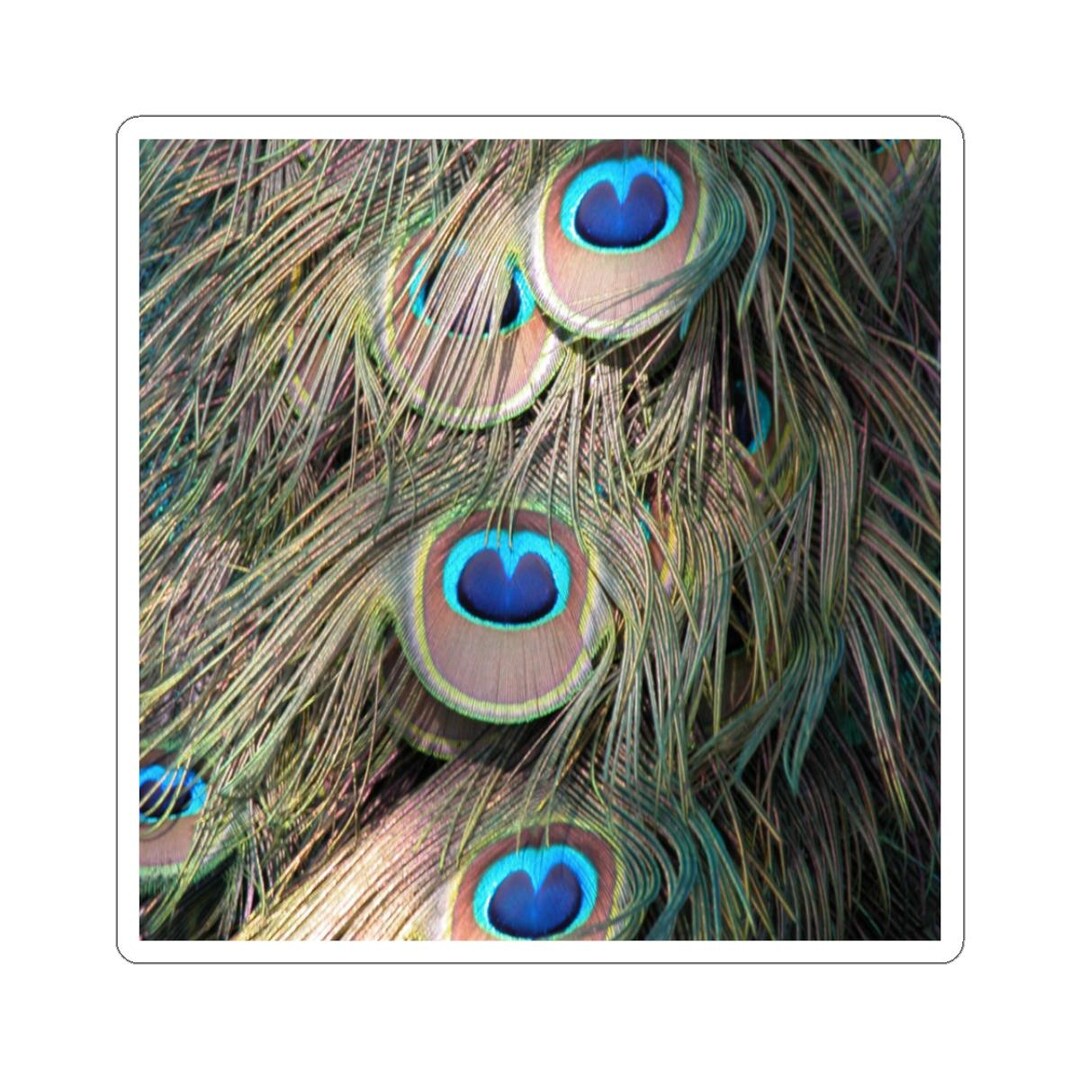 Vibrant Beauty Peacock Feather Stickers | Laptop Decals, Journal Decor ...