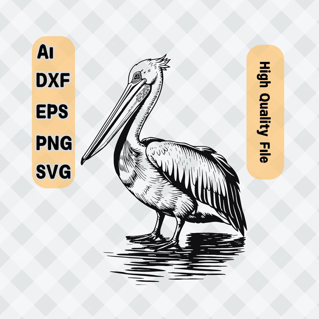 Coastal Pelican | Svg - Png - Dxf - Eps - Aı | High-quality | Cricut ...