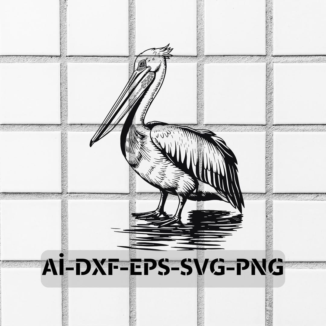 Stunning Pelican Ai,dxf,eps,svg,png for Clipart Tropical Bird, Ocean ...