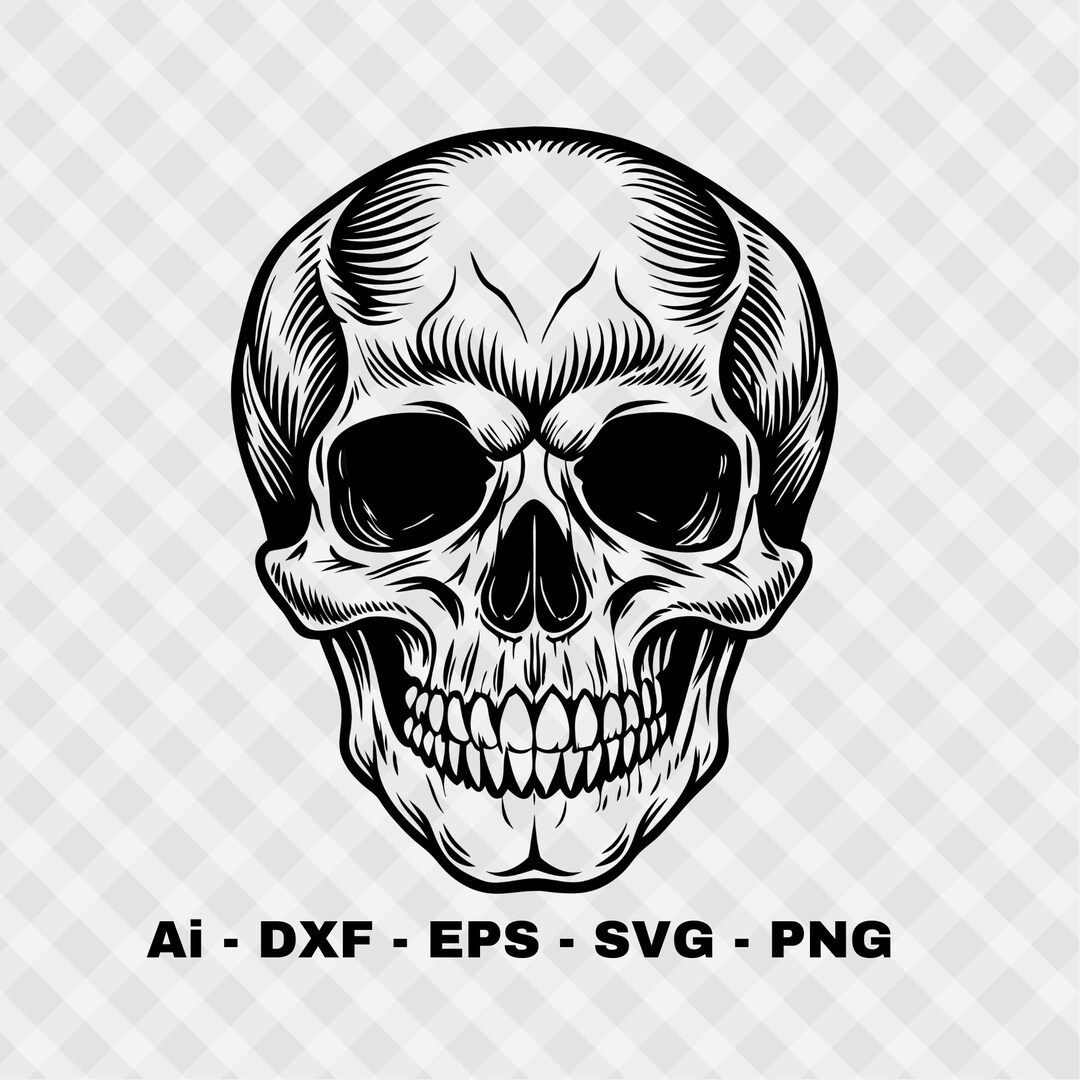 Detailed Skull Vector Ai,dxf,eps,svg,png Skull Design, Skull Drawing ...