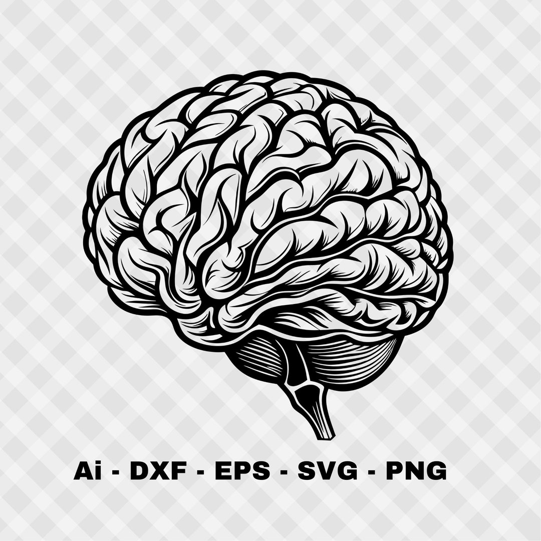 Human Brain Vector Ai, Dxf, Eps, Svg, Png Digital Cutting Files ...