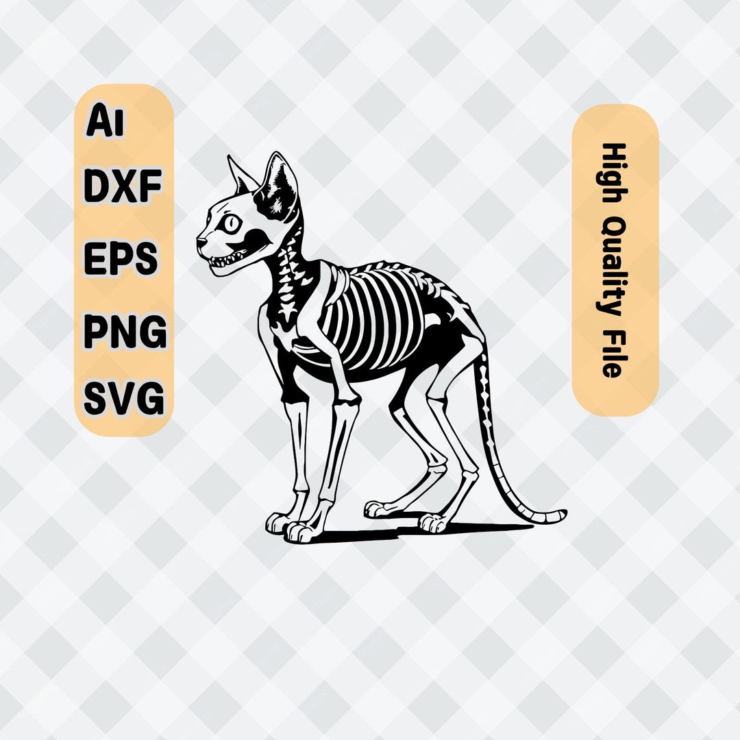 Spooky Cat Skeleton | Svg - Png - Dxf - Eps - Aı | High-quality ...