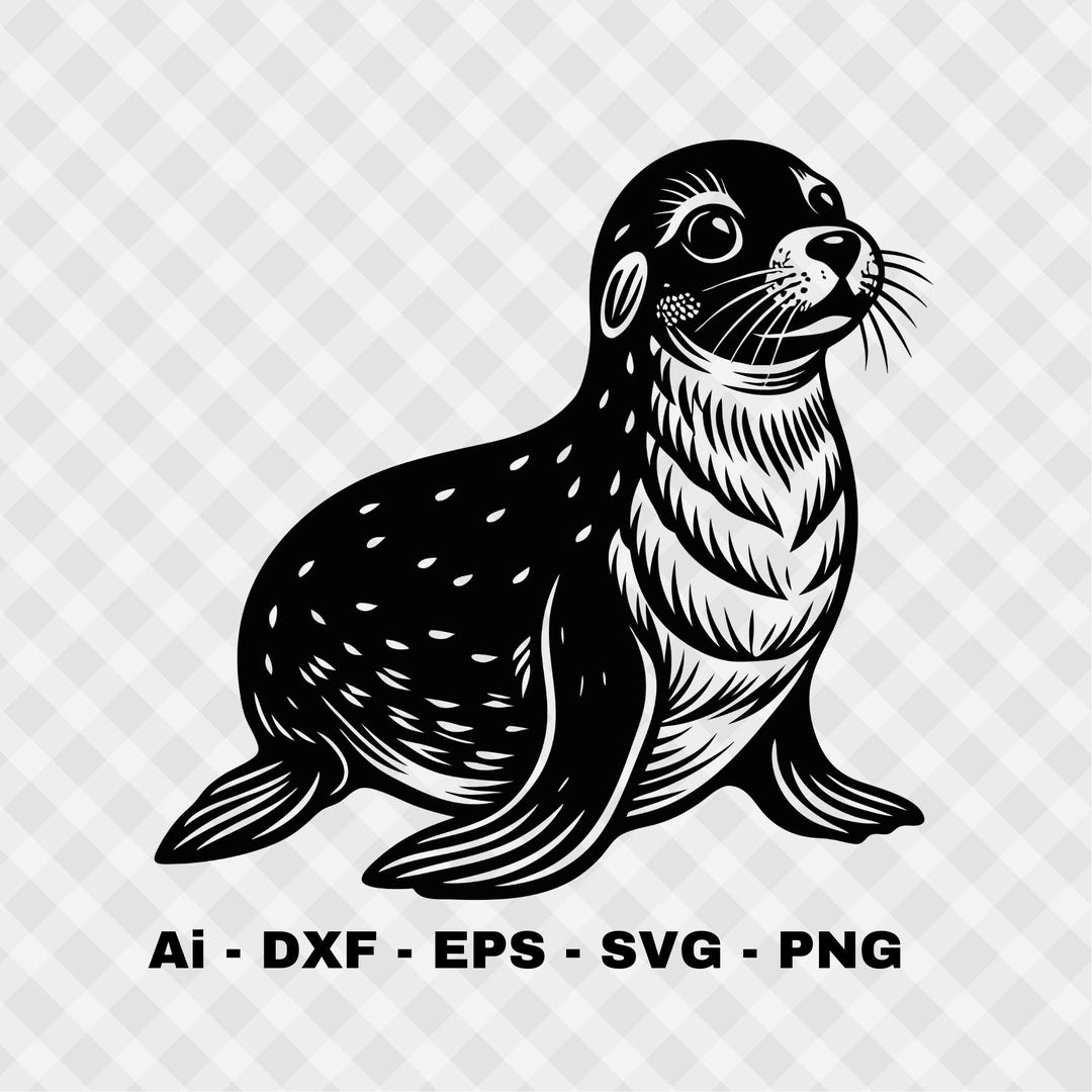 Vector de foca monje Ai,Dxf,Eps,Svg,Png Imágenes prediseñadas de ...