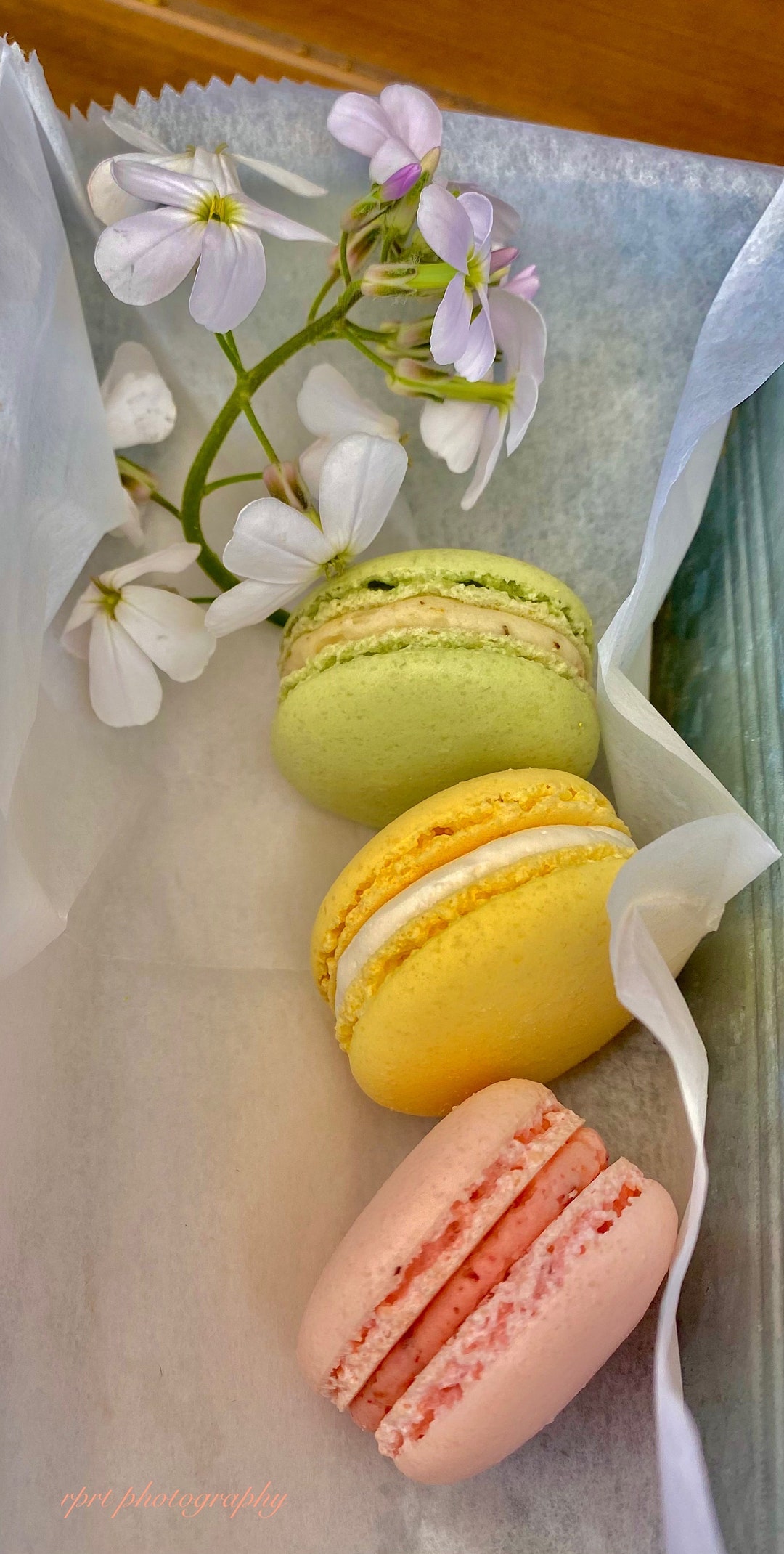 Fresh Macrons East End of Long Island Photography Print - Etsy