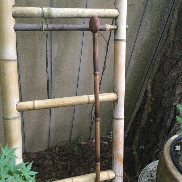 Bamboo Walking Stick - Etsy