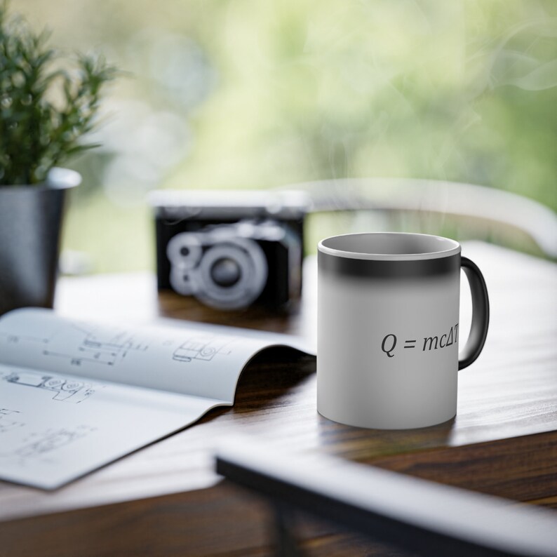 Heat Color Change Thermodynamics Equation Mug, Nerdy Gift for Scientist ...