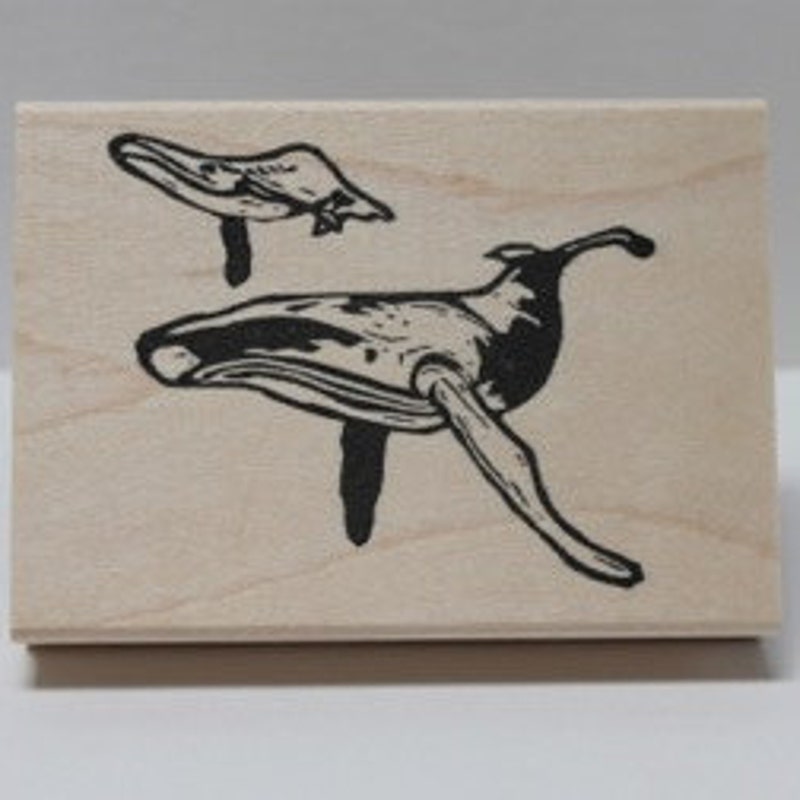 Whale Rubber Stamp - Etsy