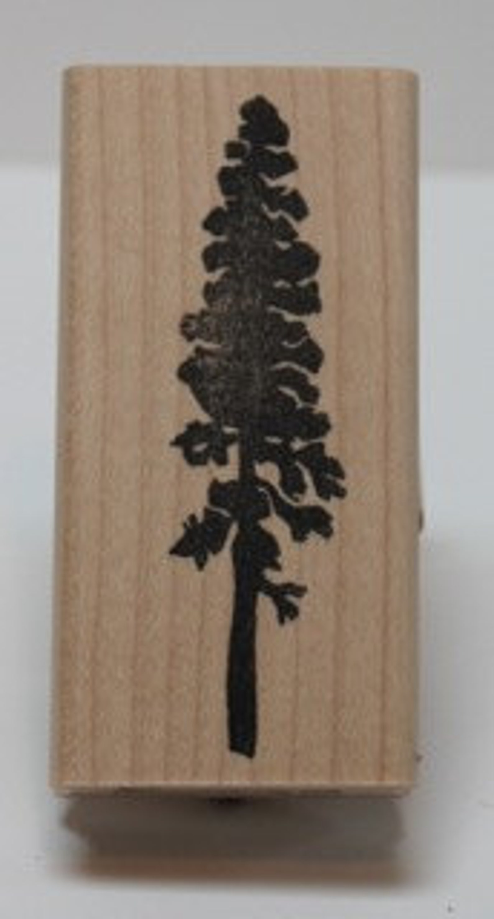 Ponderosa Pine Tree Rubber Stamp - Etsy