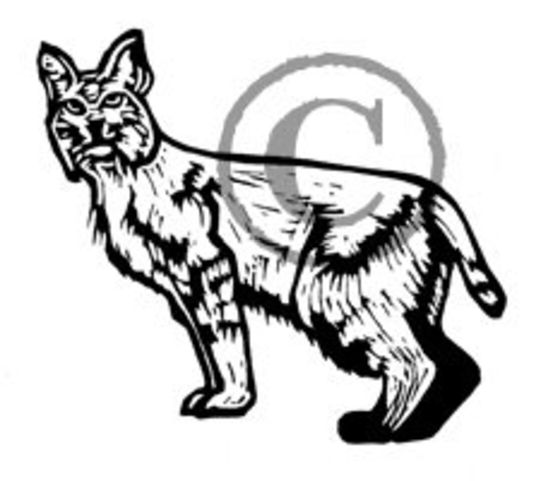 California Bobcat Rubber Stamp - Etsy
