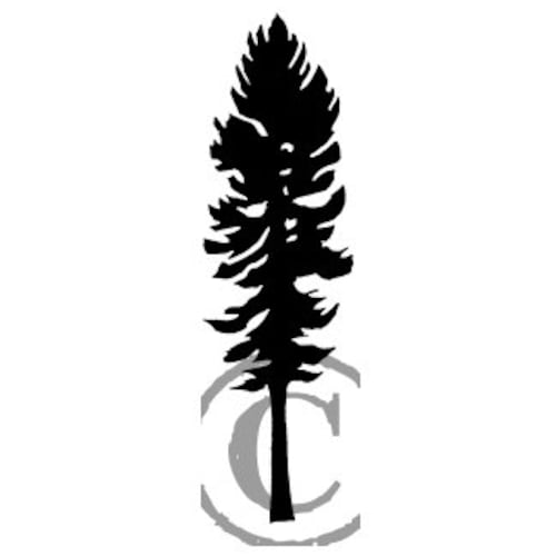 Pine Sequoia Redwood Tree Rubber Stamp Wood Mounted 5 1/4th - Etsy