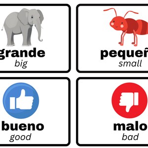 Spanish Flashcards (digital) - 500+ Spanish Flashcards - Etsy
