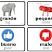 Spanish Flashcards (digital) - 500+ Spanish Flashcards - Etsy
