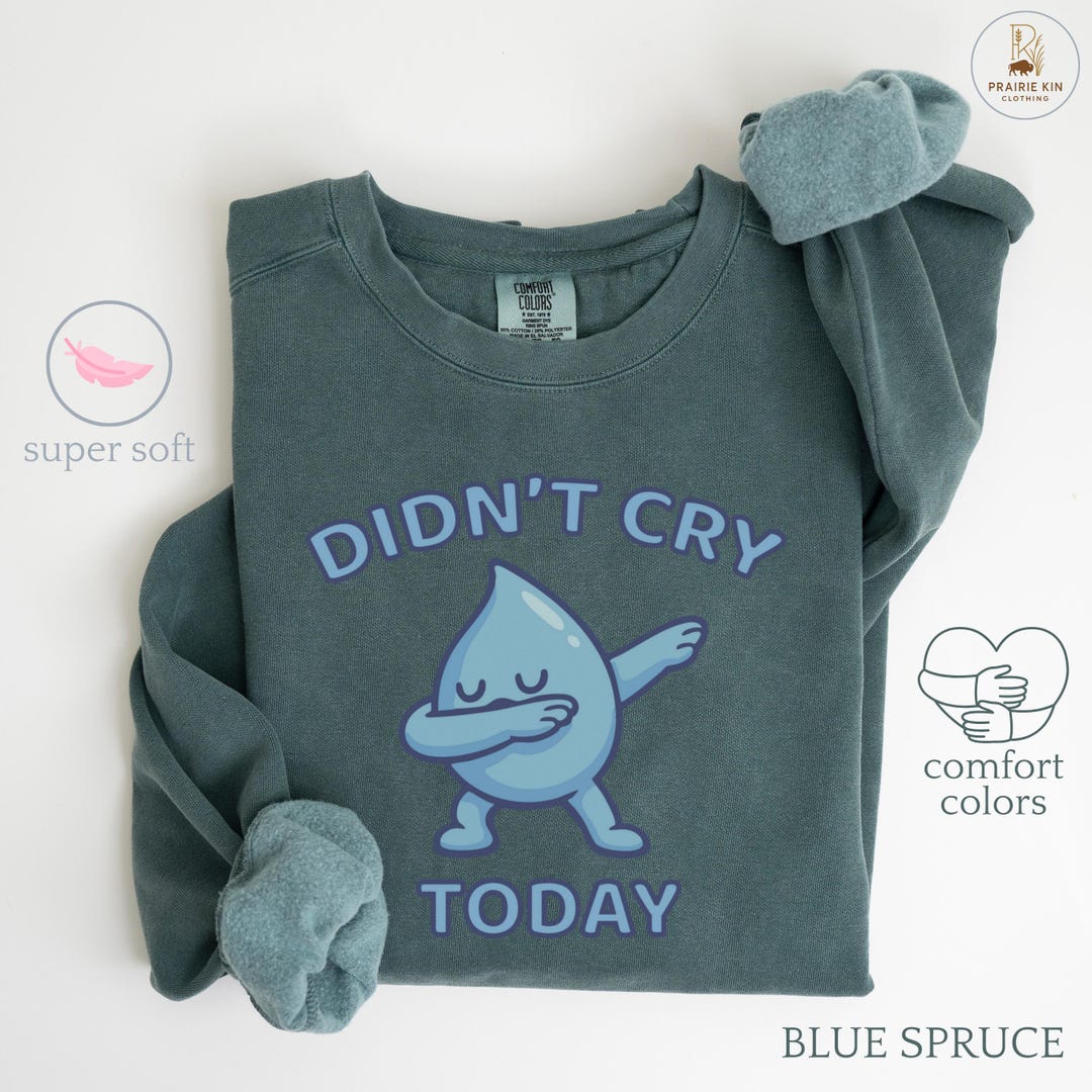 Didn’t Cry Today Comfort Colors Sweatshirt | Funny Mental Health ...