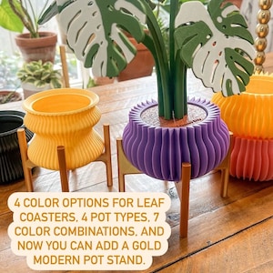 Albo Monstera Coaster Plant Set - Deep Green : 6 Leaf Coasters for ...