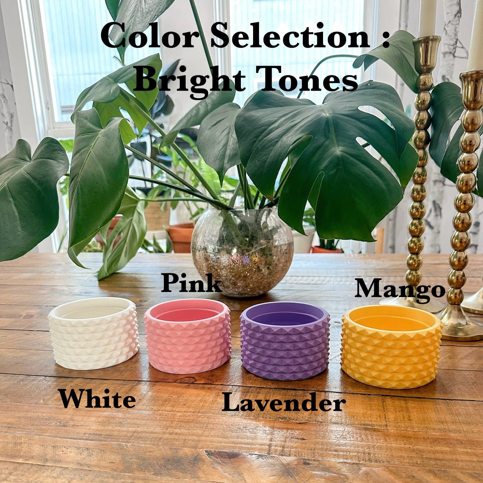 Fiddle Leaf Fig Tree Coaster Plant - Desk Toy or Coffee Table Piece - Etsy