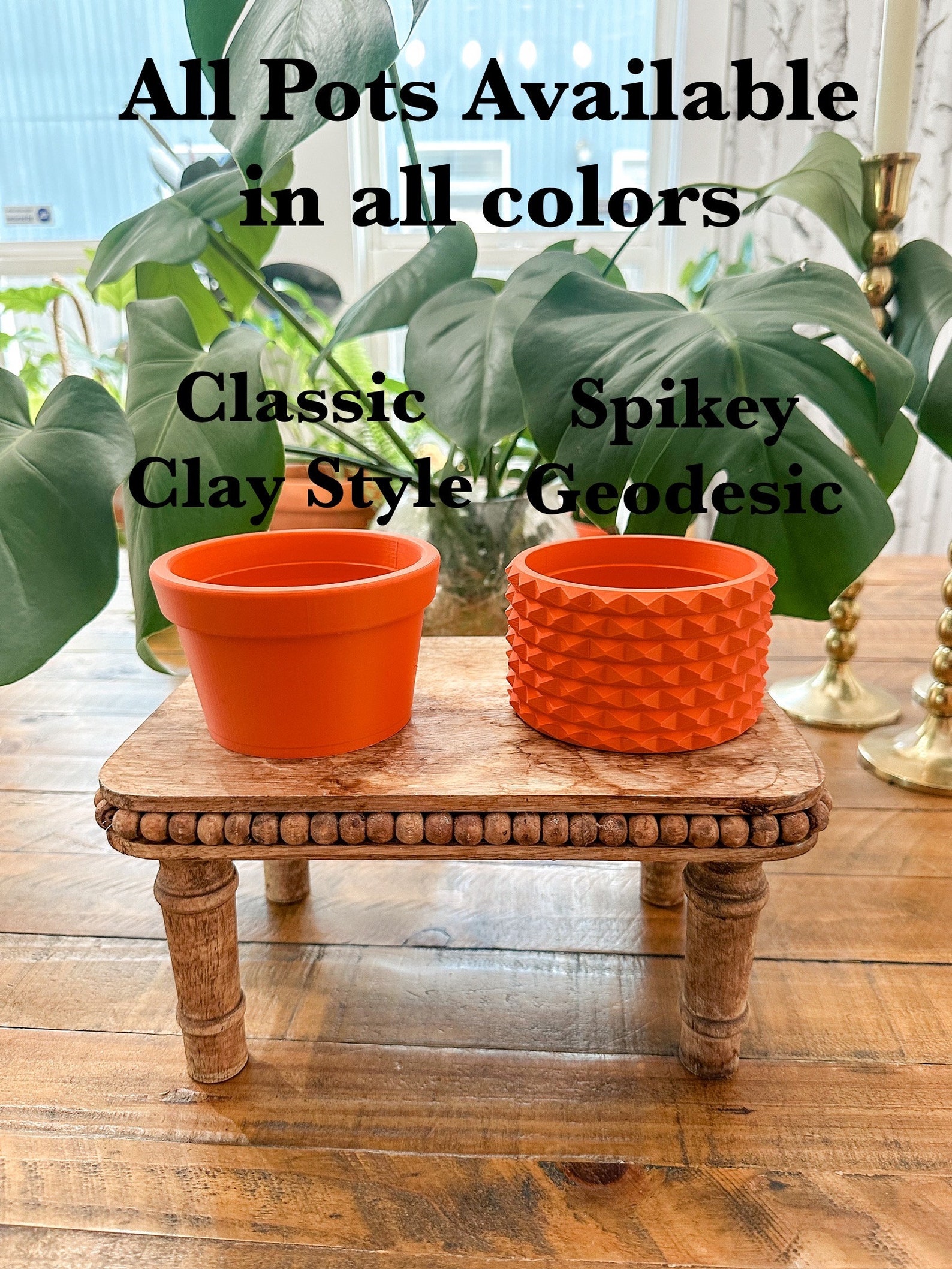 Fiddle Leaf Fig Tree Coaster Plant - Desk Toy or Coffee Table Piece - Etsy