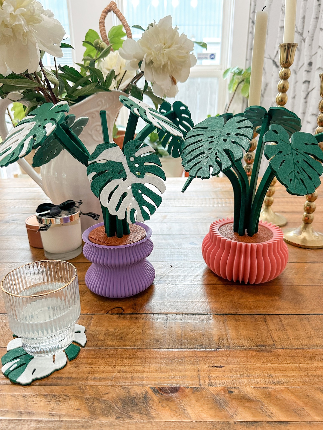 Albo Monstera Coaster Plant Set - Deep Green : 6 Leaf Coasters for ...