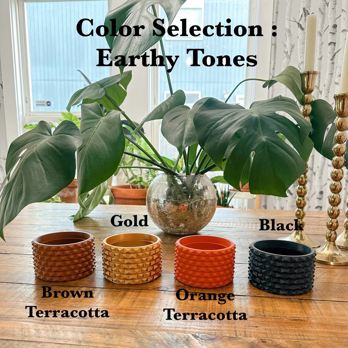 Fiddle Leaf Fig Tree Coaster Plant - Desk Toy or Coffee Table Piece - Etsy