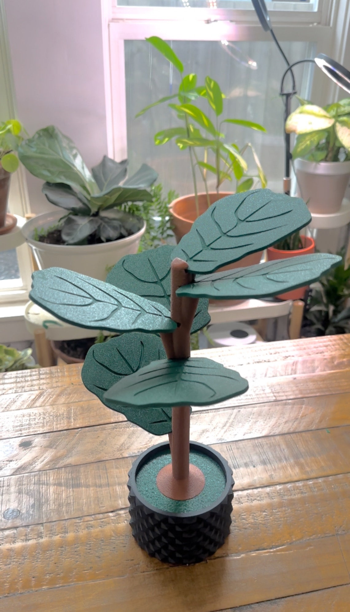 Fiddle Leaf Fig Tree Coaster Plant - Desk Toy or Coffee Table Piece - Etsy