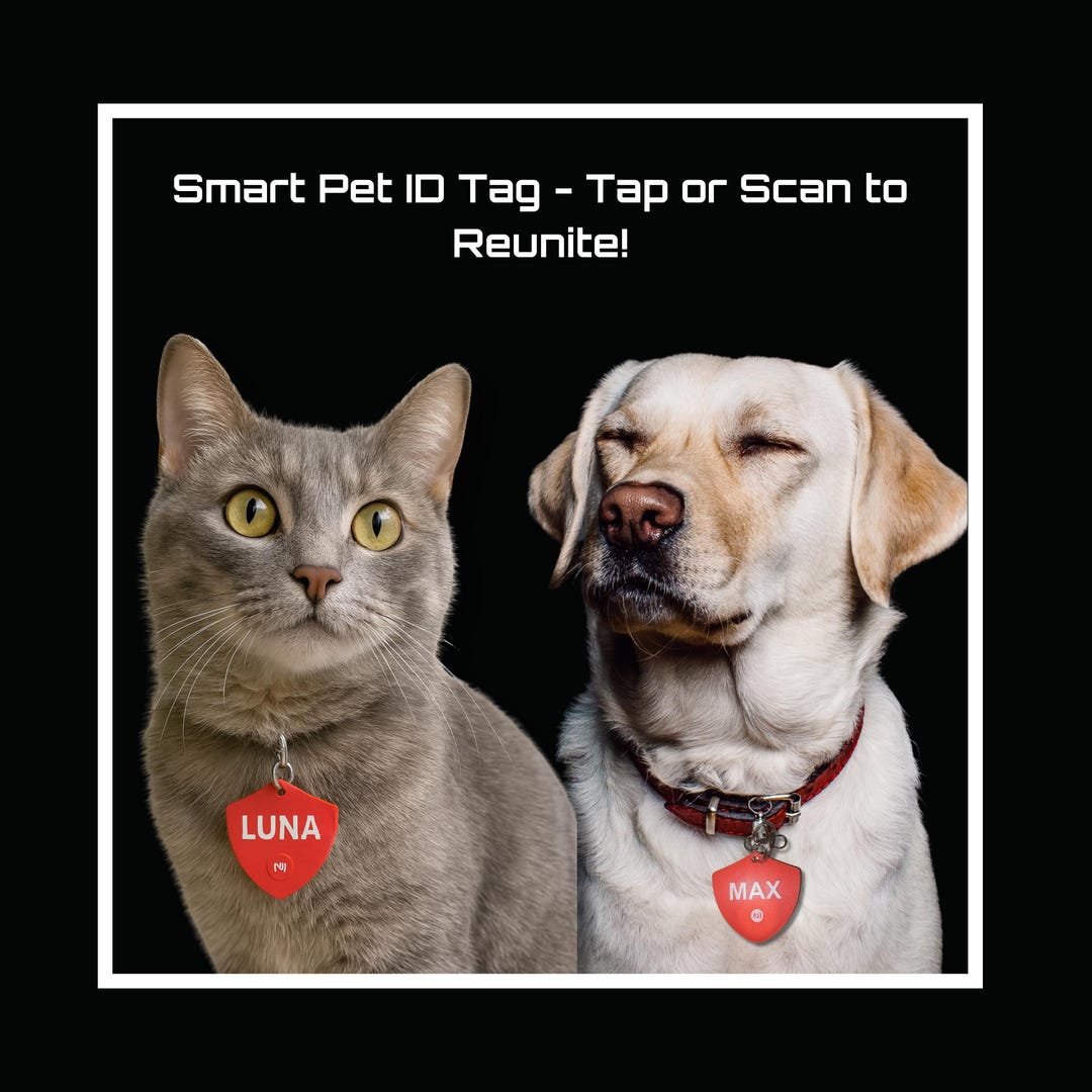 Custom Dog Tag – NFC + QR Smart Pet ID | Digital Dog or Cat Name Tag ...