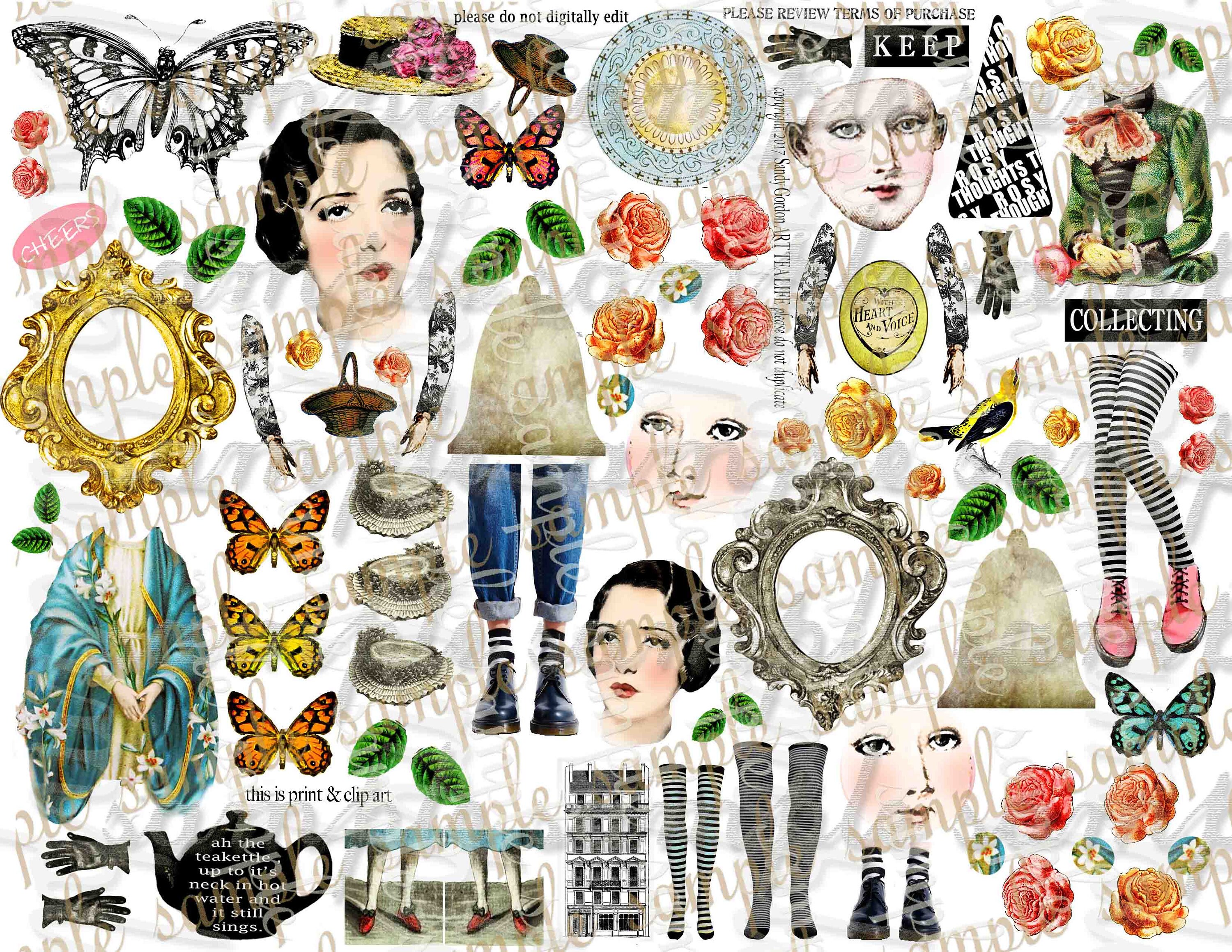 Embellishments Papercraft Instant Download- Still Life Printable ...