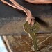 Leo Key - Vintage Key Necklace - Brass Lion Key - Masterlock Key ...