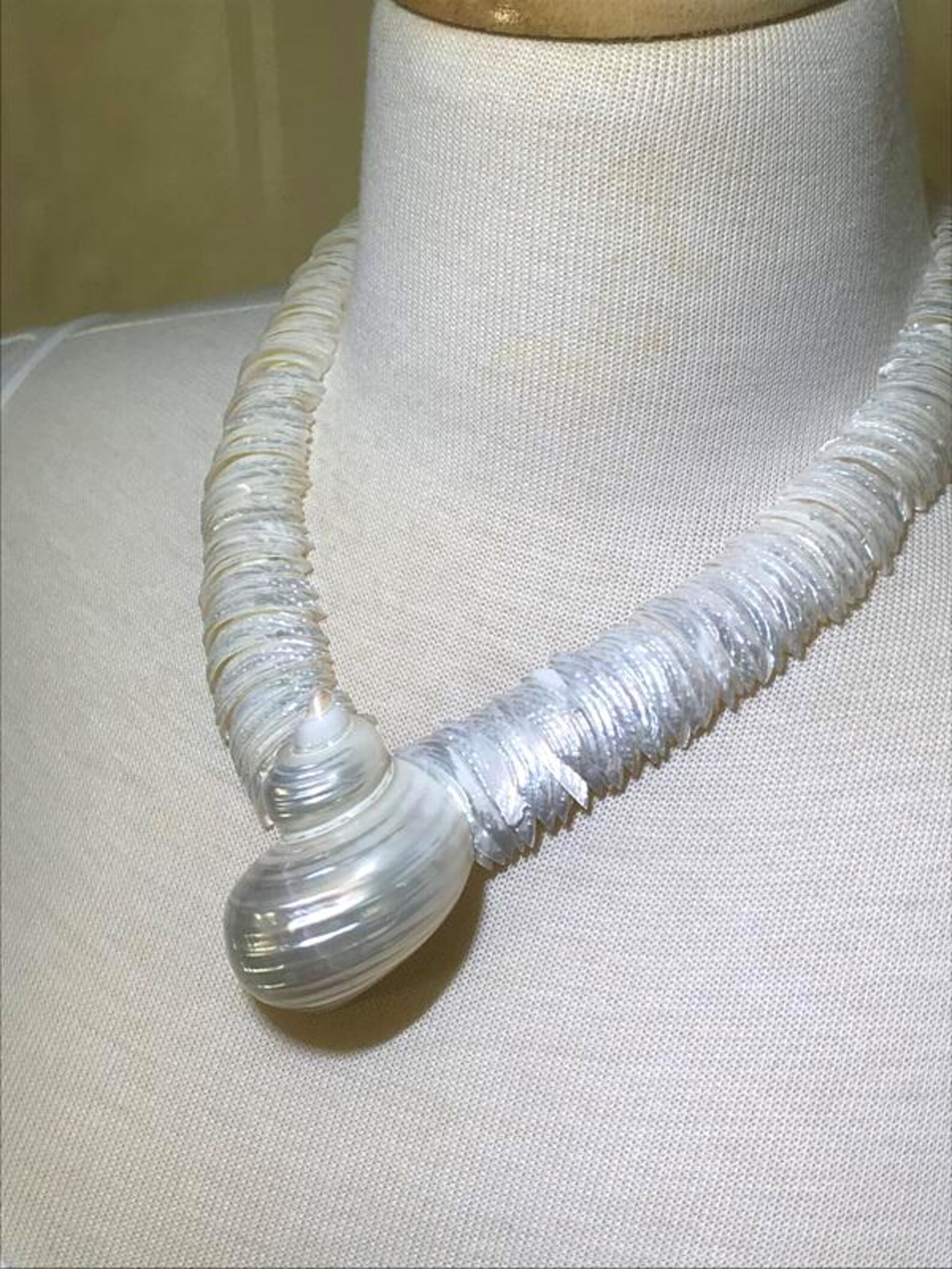 Graduated Trochus Seashell 18" Necklace With Matching Earrings and ...