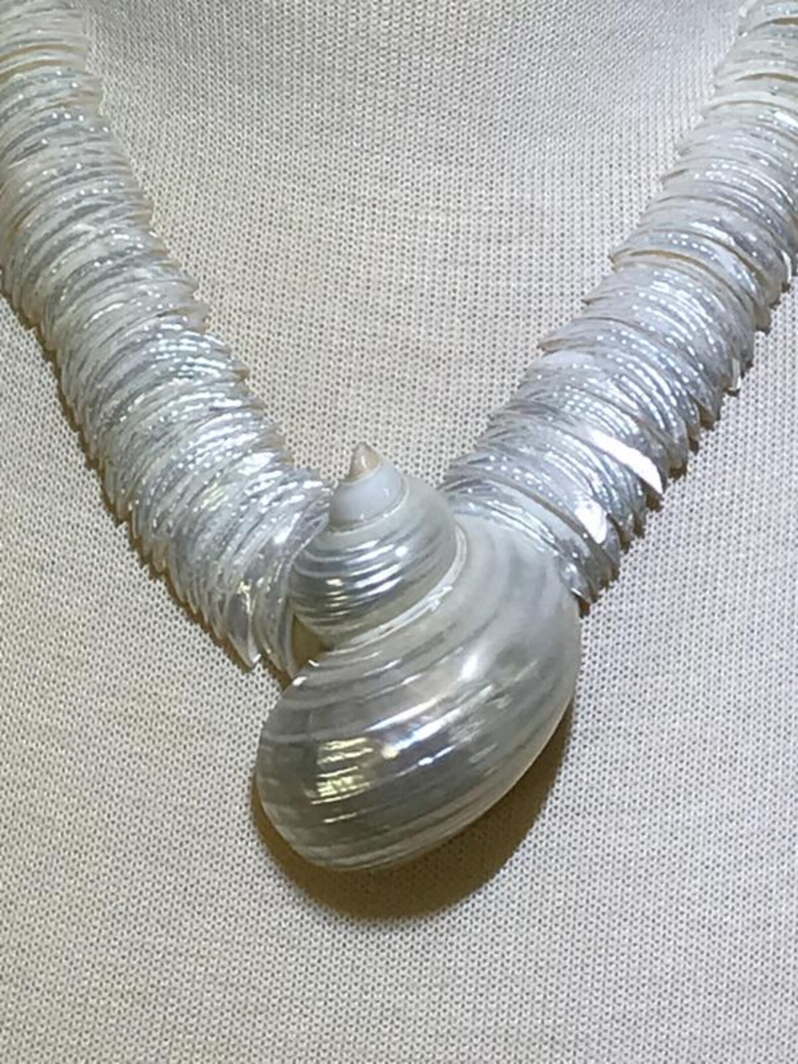 Graduated Trochus Seashell 18" Necklace With Matching Earrings and ...