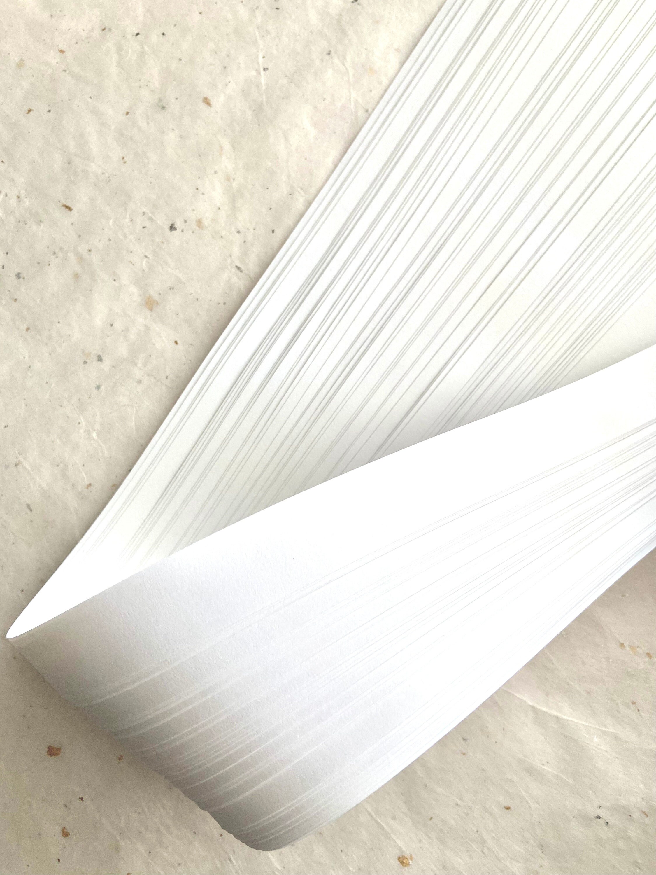 DOLLAR PACKS White~ Froebel Paper Strips (50ct) - Etsy