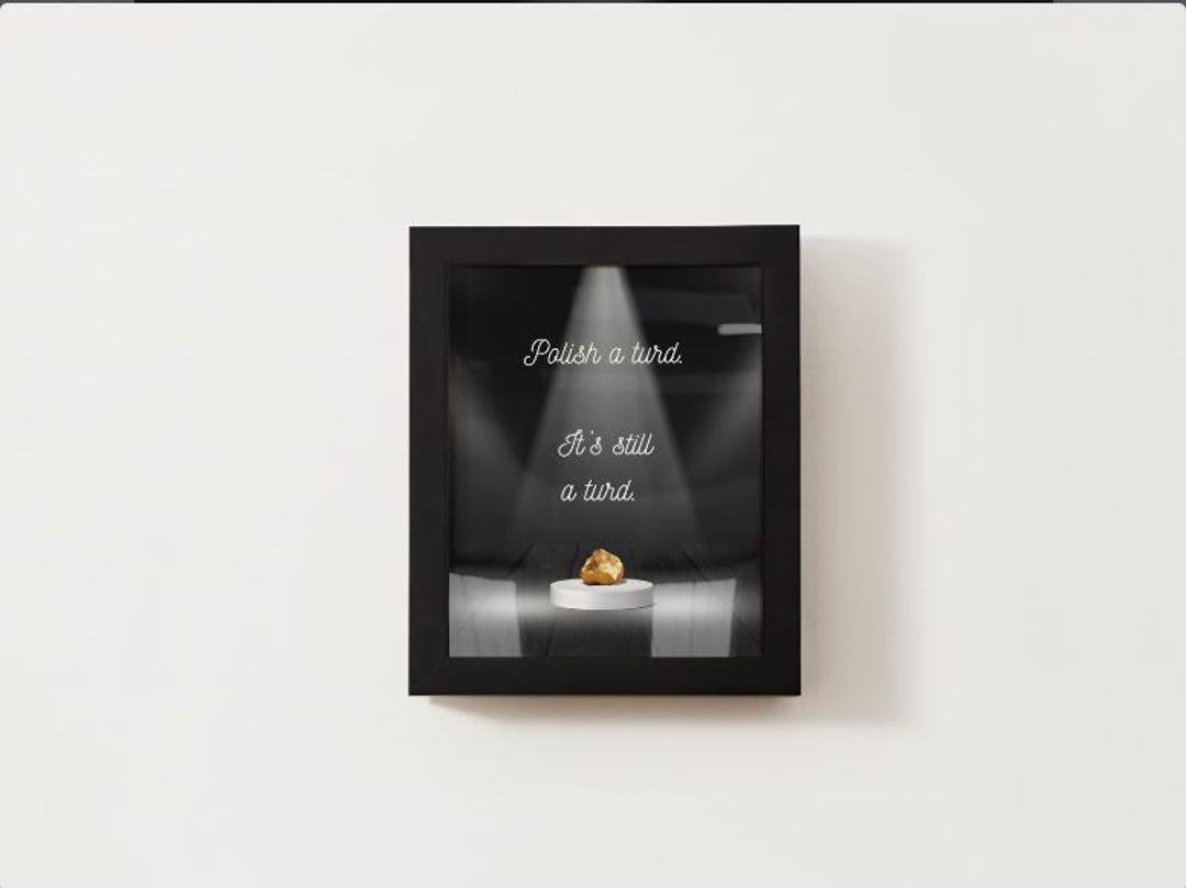 Polish a Turd Its Still a Turd, Funny, Digital Download, Poster, Man ...