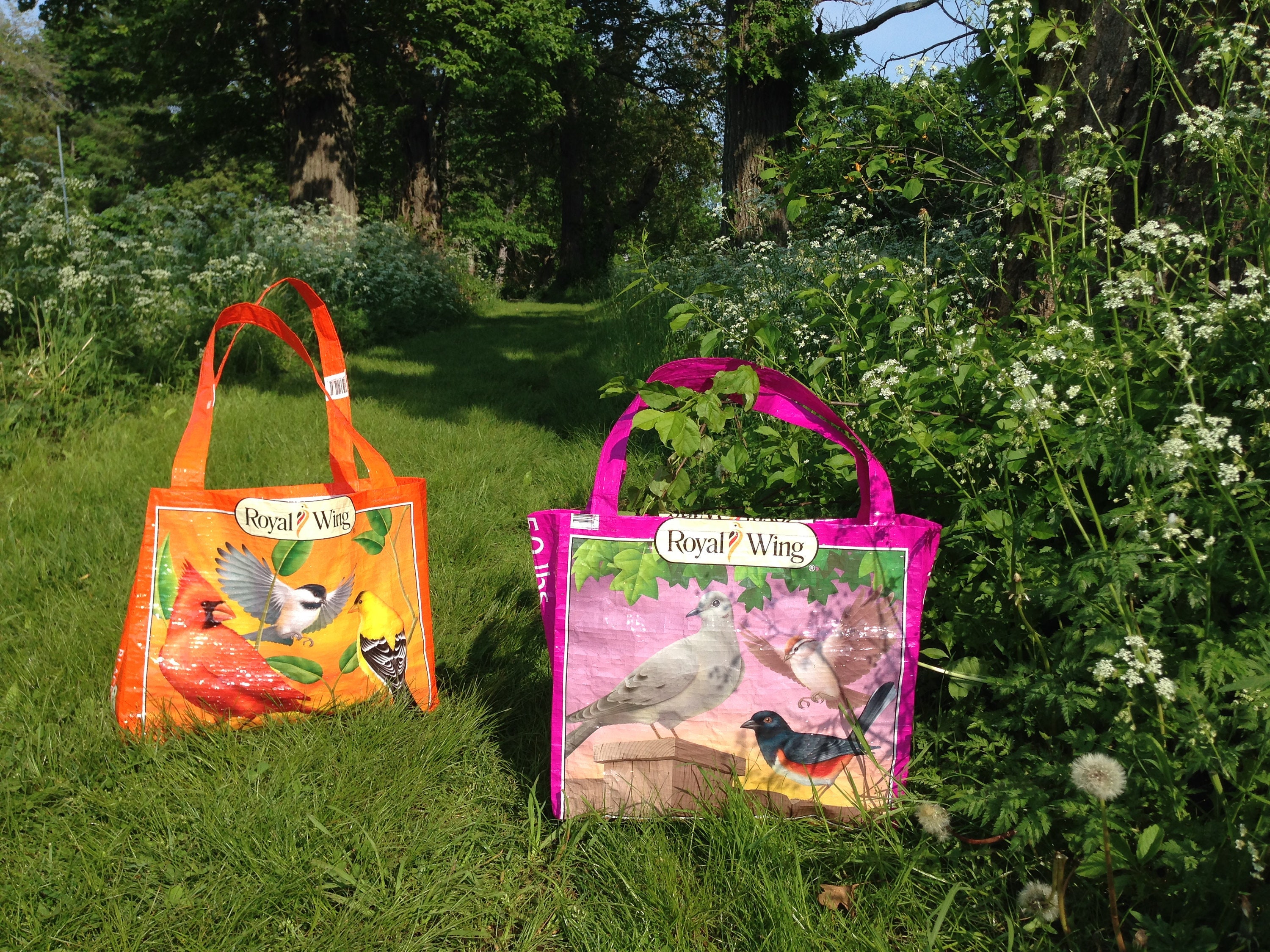 Reusable Feed Bag Tote- Bird Variety - by Cartersafari - Etsy