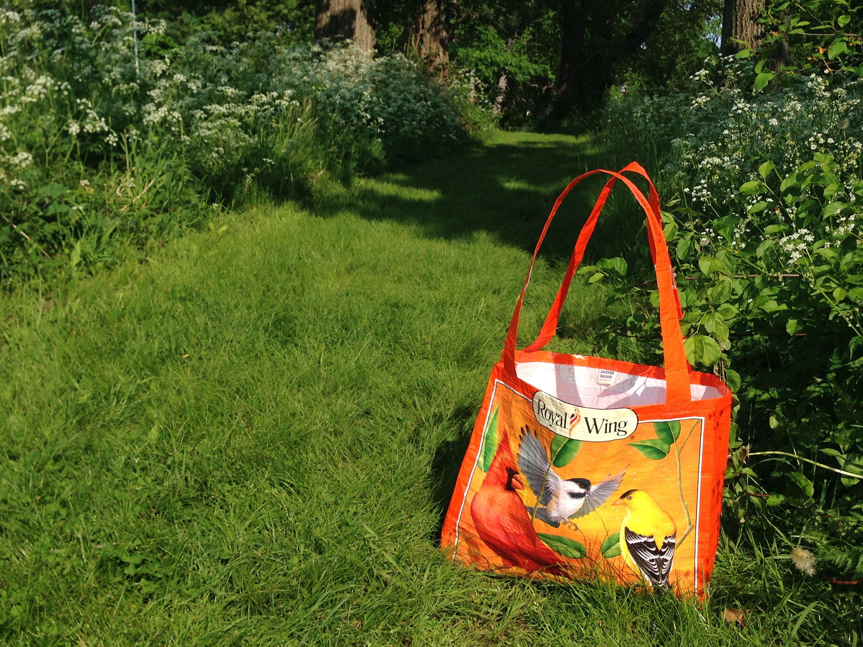 Reusable Feed Bag Tote- Bird Variety - by Cartersafari - Etsy