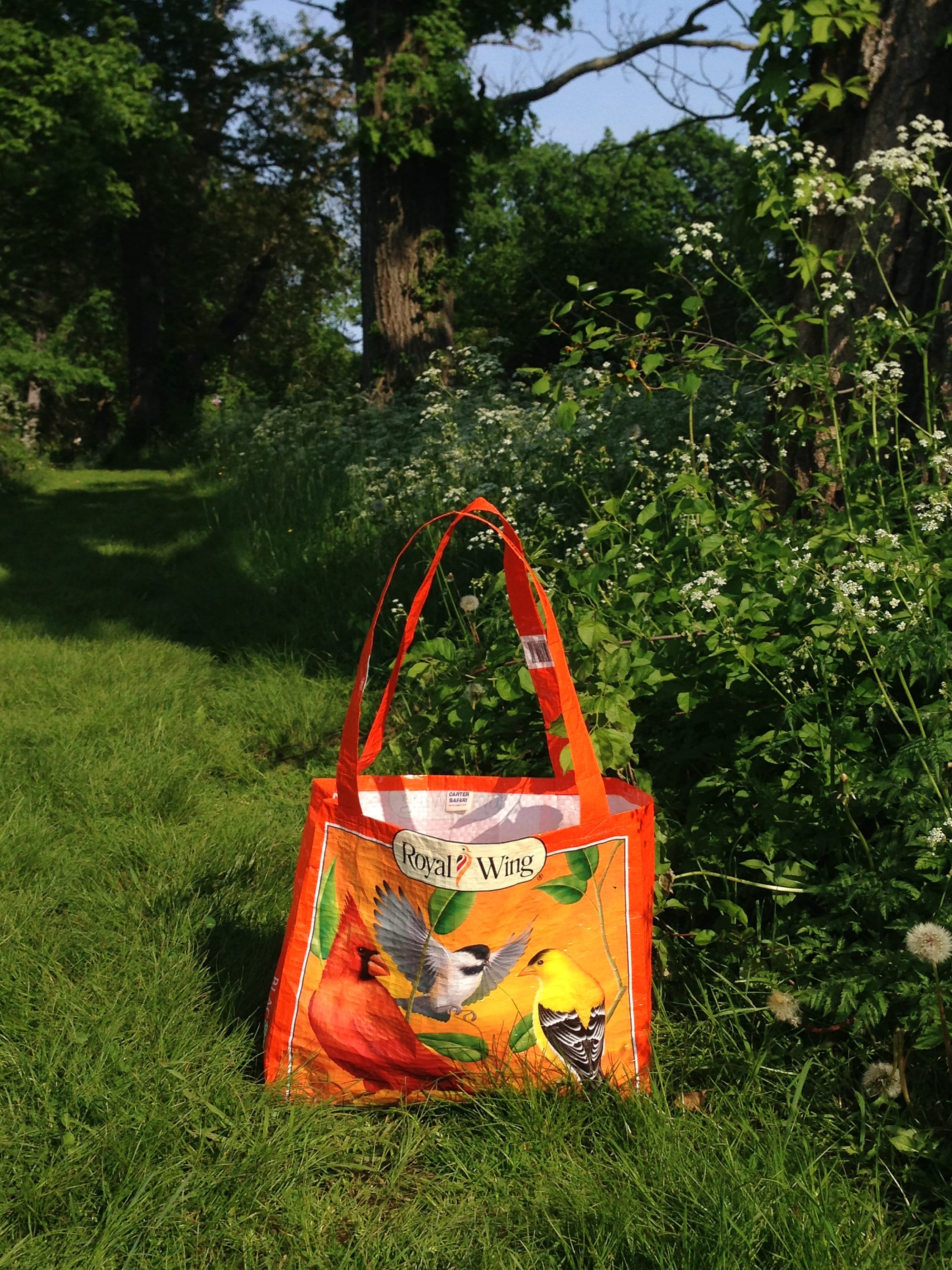 Reusable Feed Bag Tote- Bird Variety - by Cartersafari - Etsy