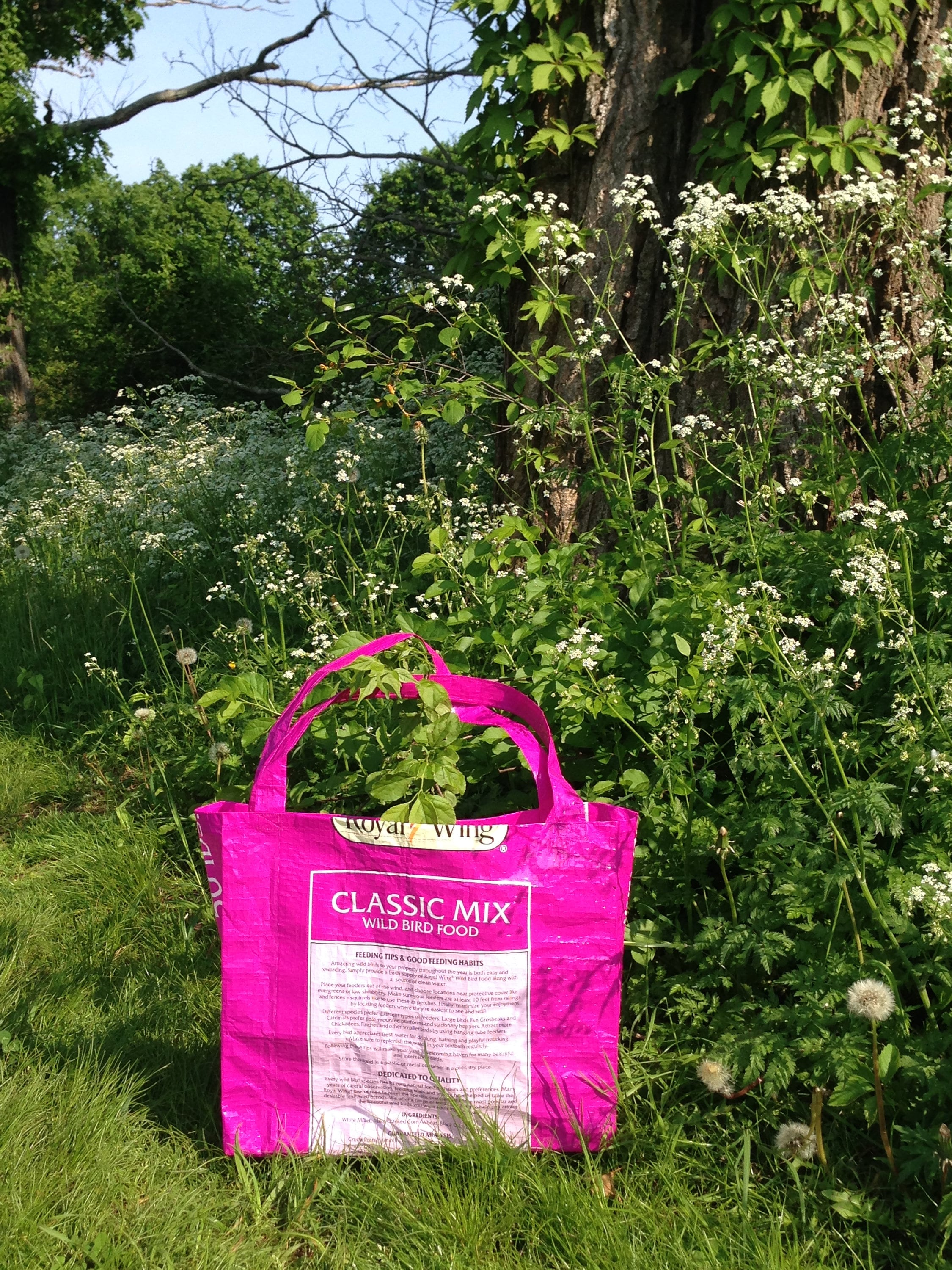 Reusable Feed Bag Tote- Bird Variety - by Cartersafari - Etsy